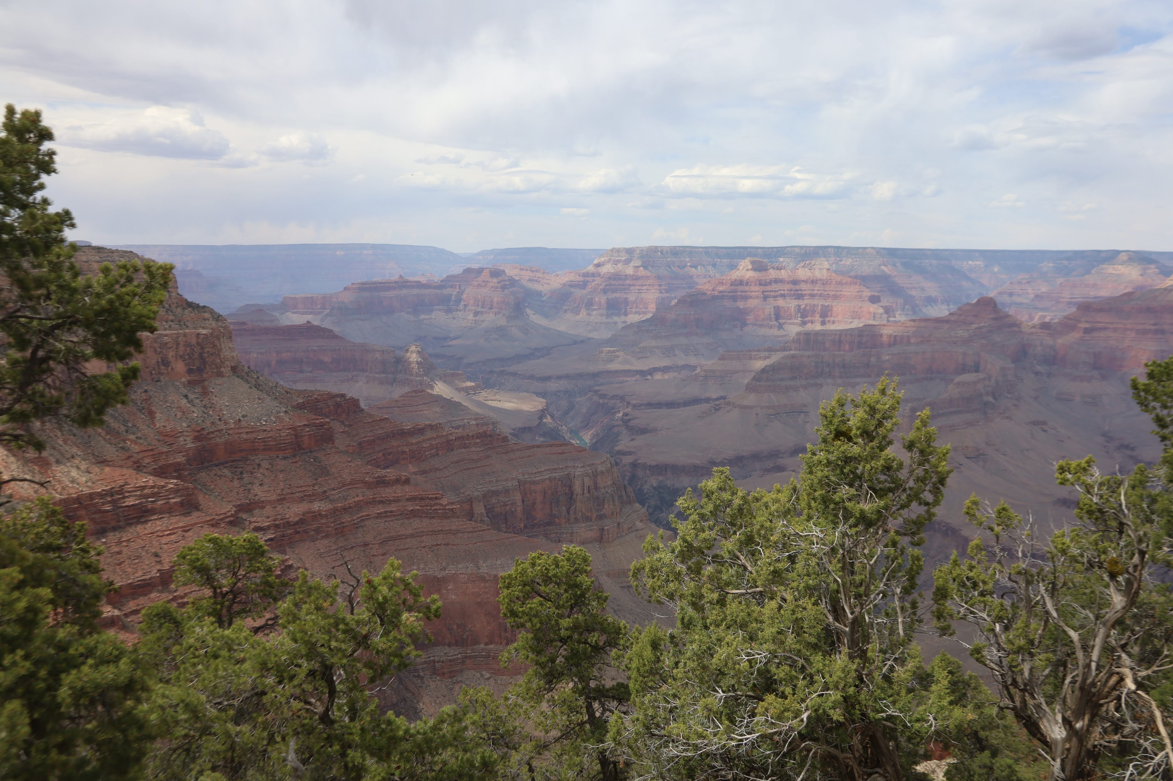 Laura’s Journal: Being a normal, nerdy Grand Canyon tourist – Thither & Yon